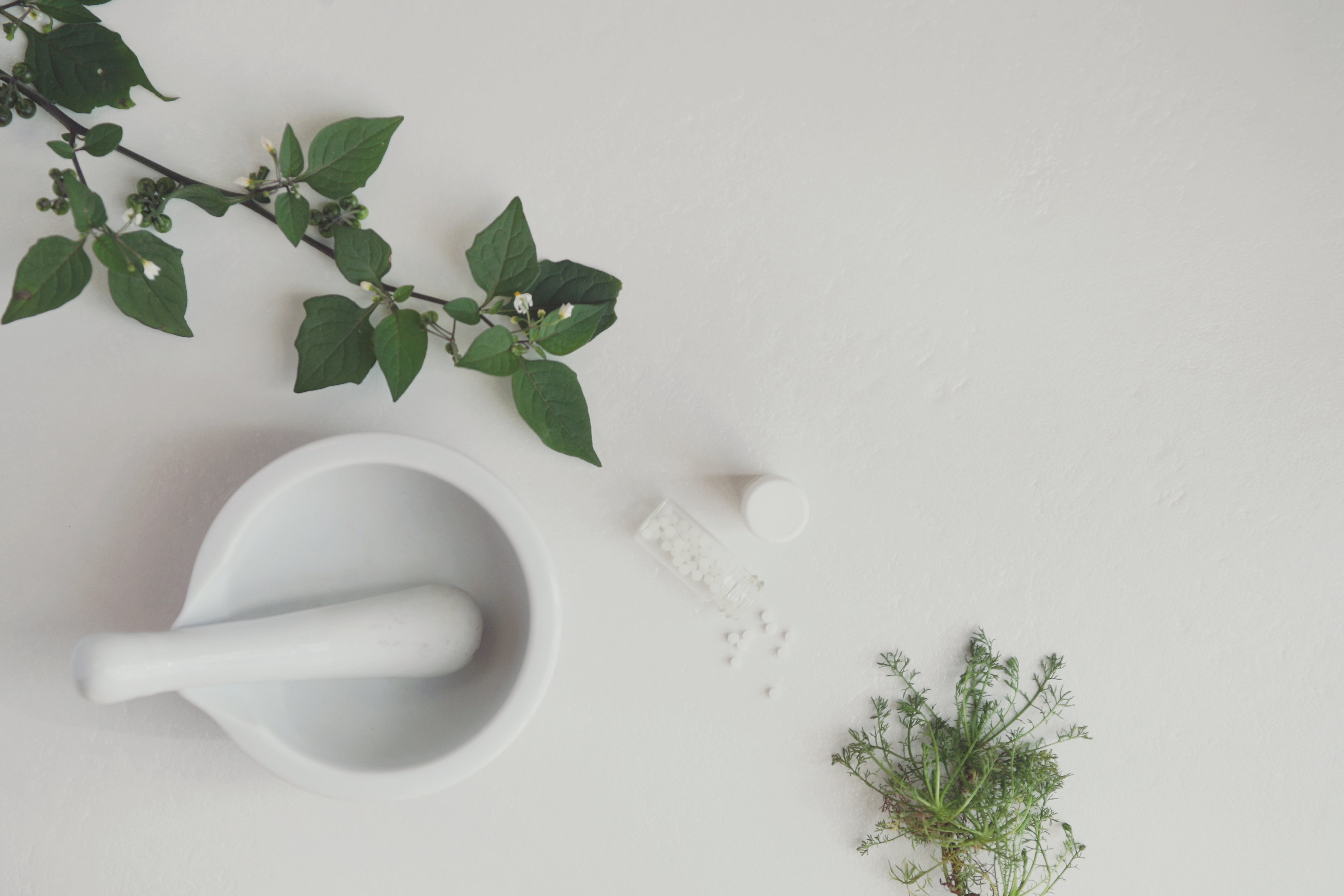 Homeopathy for Family Wellness – The Herb Farm