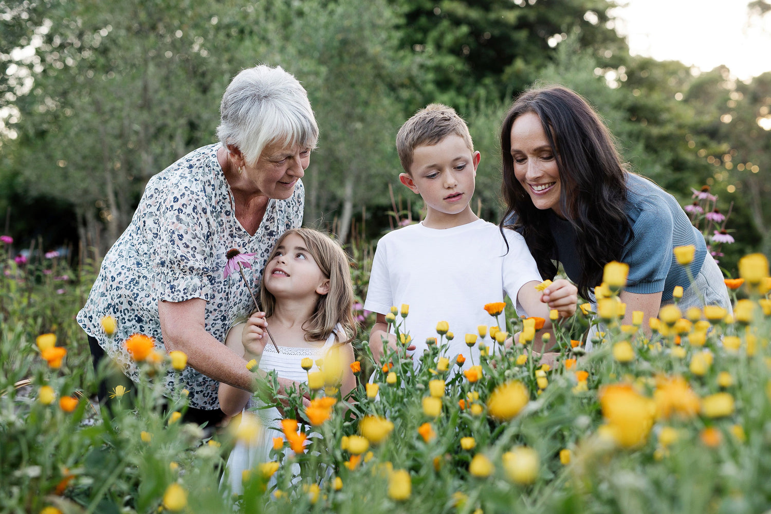 About – The Herb Farm